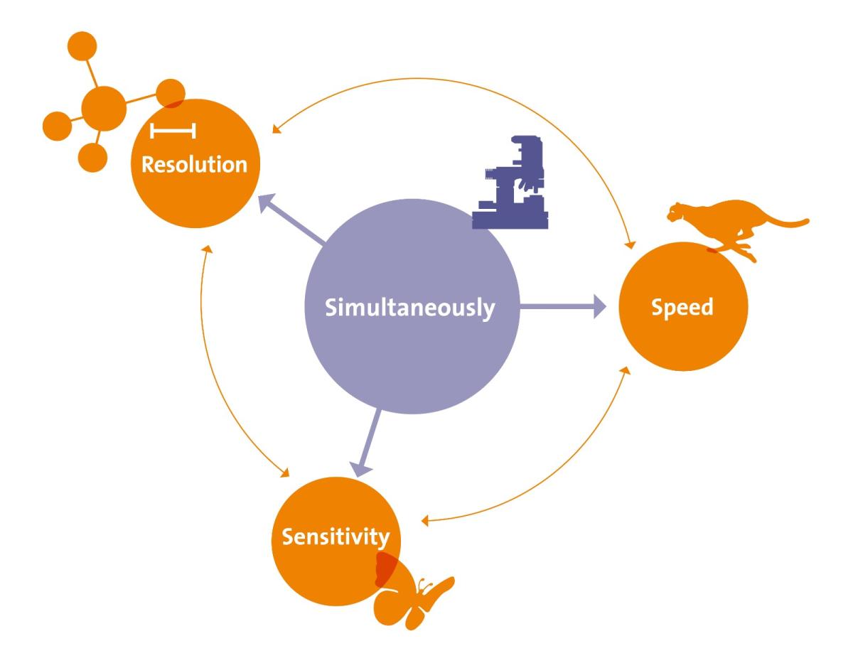 The Raman Technique - See the vibrations in the chemical bonds - WITec ...