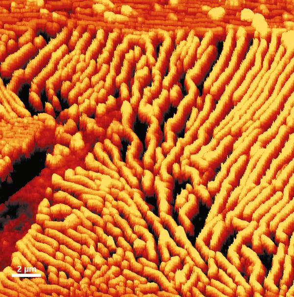 Materials science applications of confocal Raman microscopy by WITec ...