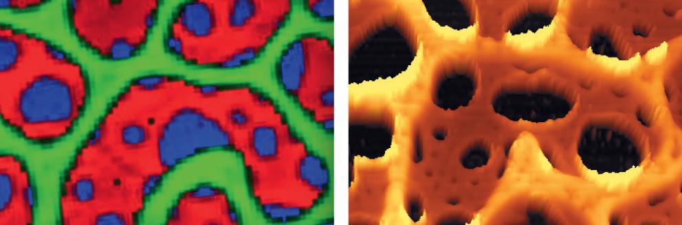 Raman Imaging - WITec Raman Imaging - Oxford Instruments