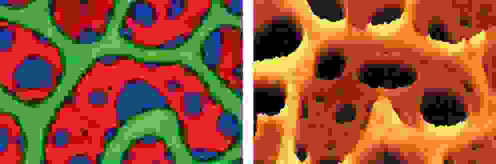 Raman Imaging - WITec Raman Imaging - Oxford Instruments