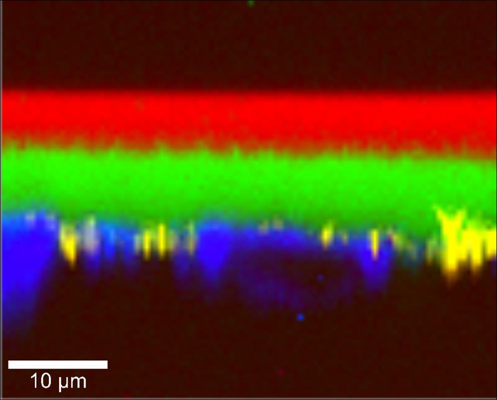 Polymers - WITec Raman Imaging - Oxford Instruments
