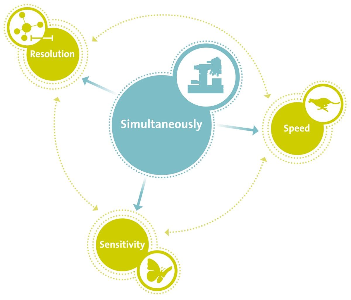 Raman Imaging - WITec Raman Imaging - Oxford Instruments